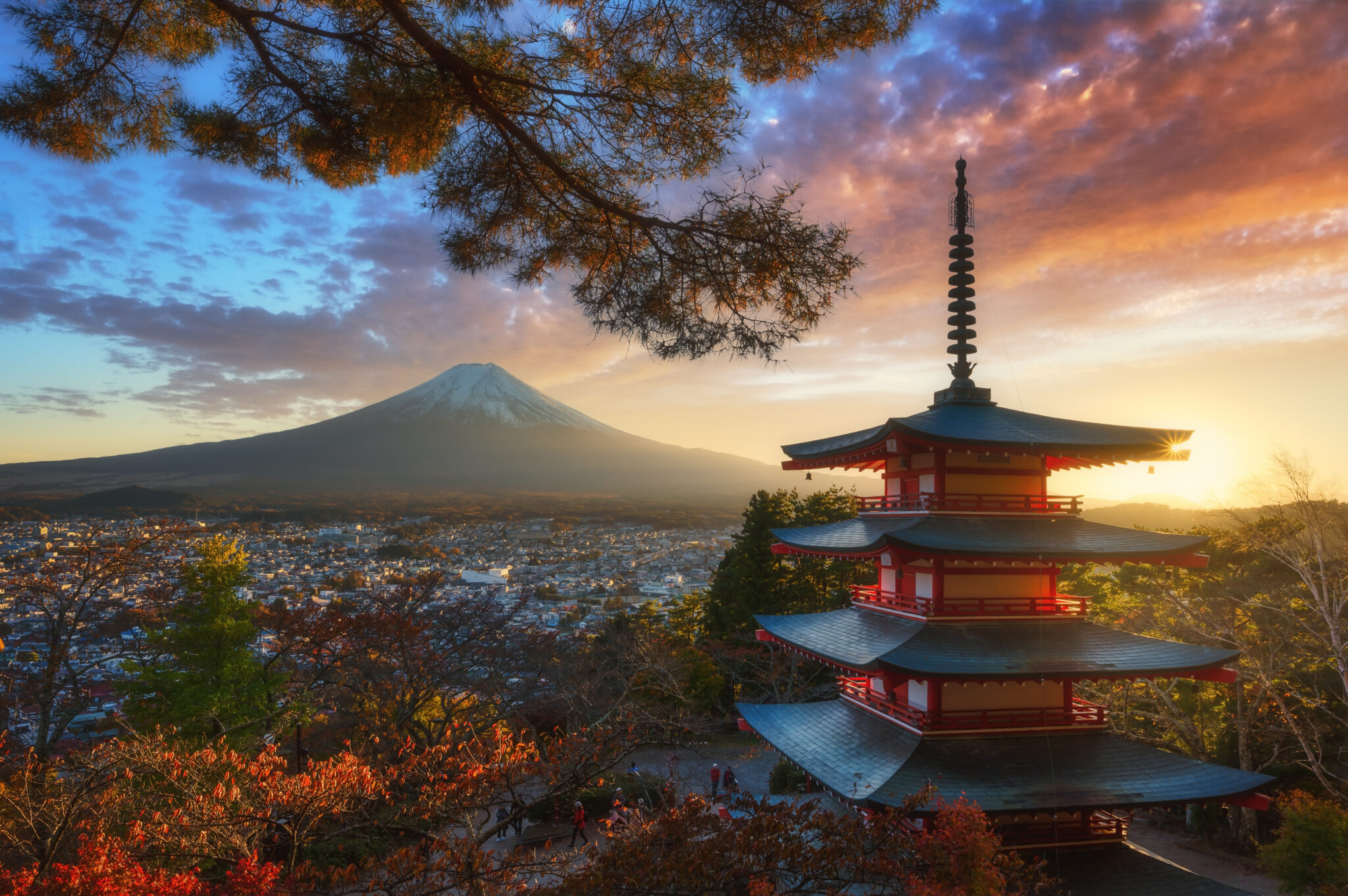 Japan Autumn Colors Special– Photography Tour | The Lens India
